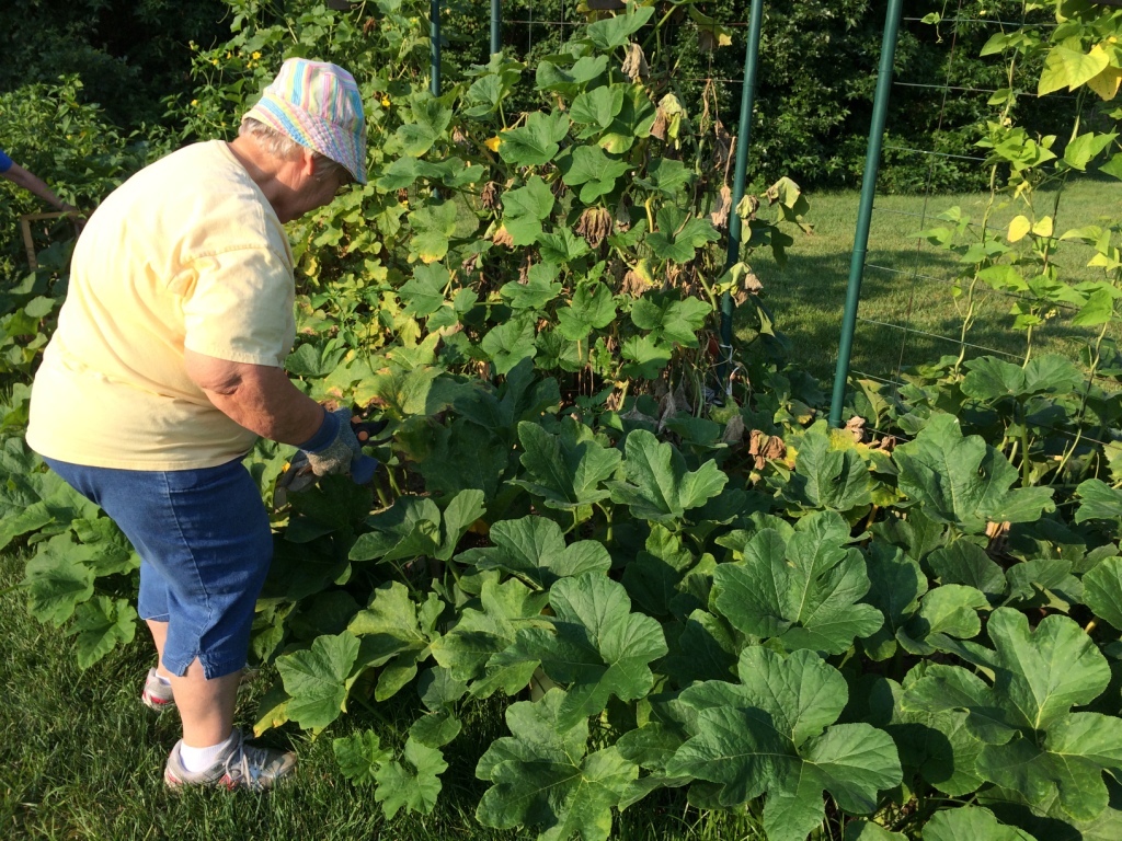 Fresh Fruits and Vegetables for Delaware’s Hungry : Food Bank of Delaware