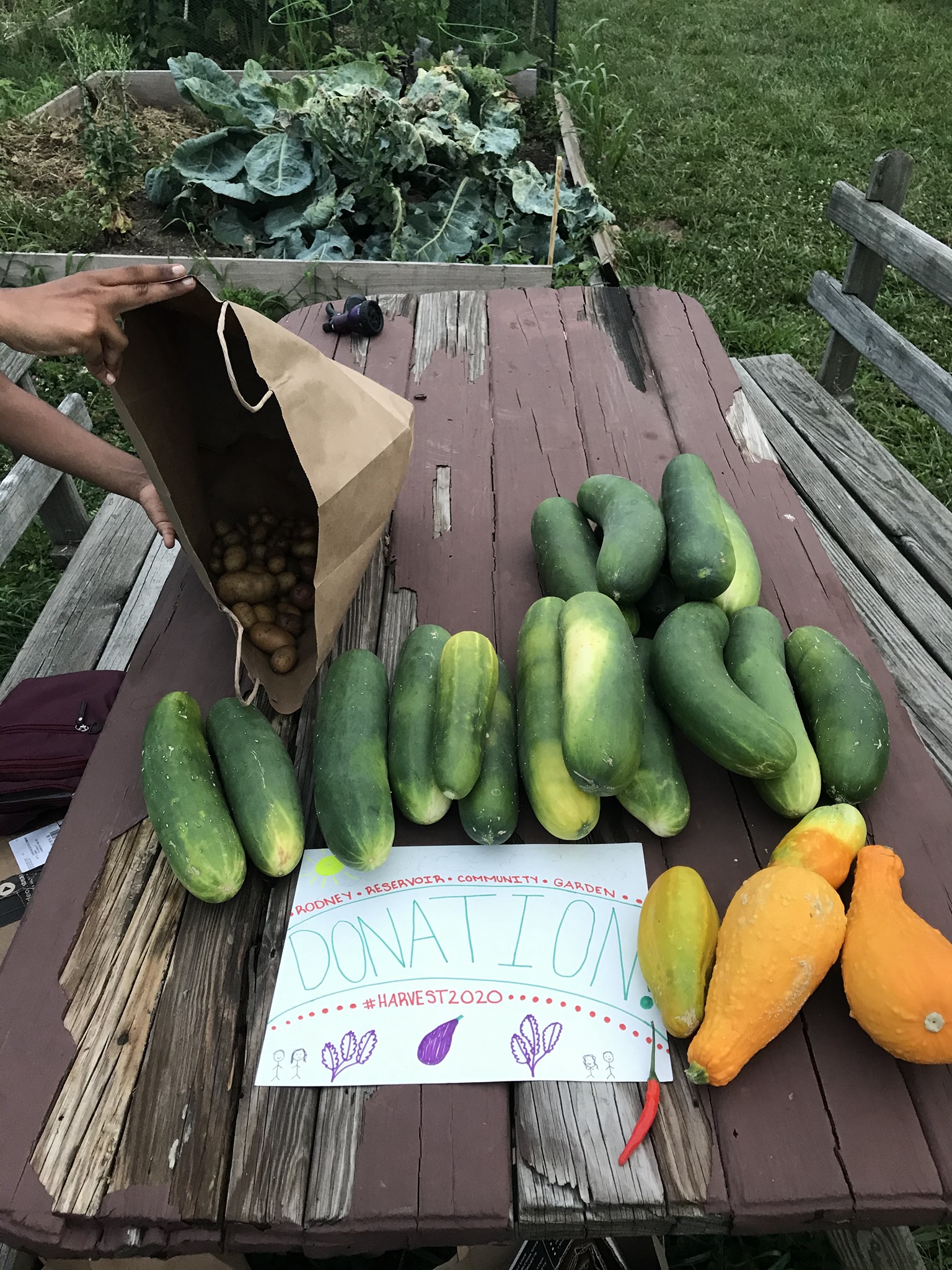 Growing Community From Seed : Food Bank of Delaware