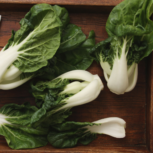 Farm Nutrition : Food Bank of Delaware